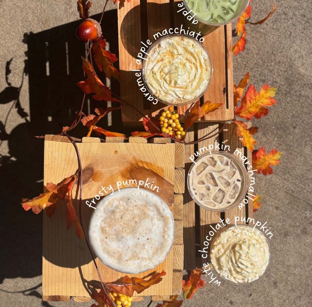 Stonehouse Coffee | Nisswa, MN